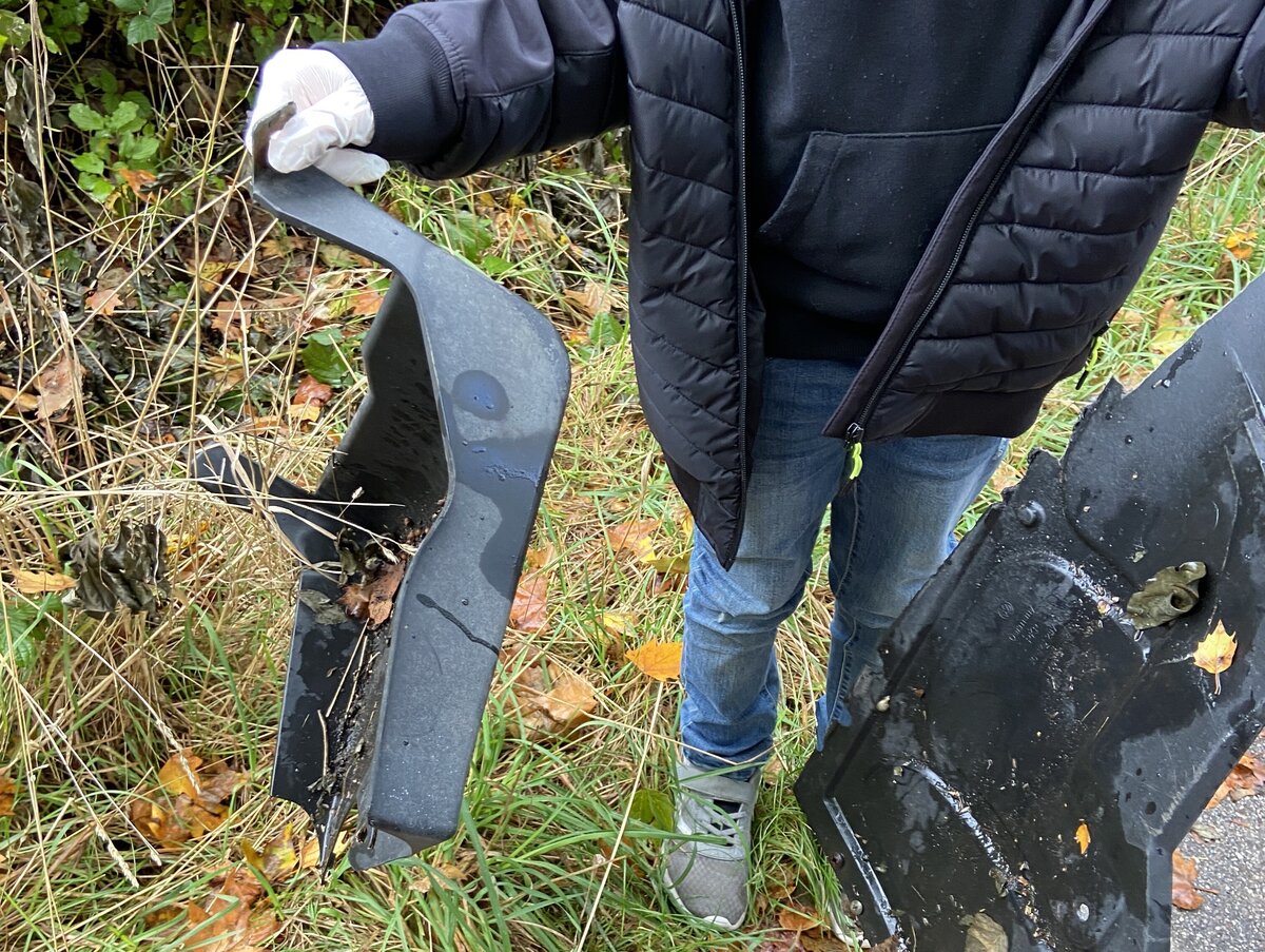 Greta-Fischer-Schule Dachau auf Umweltkurs / Landkreis Dachau
